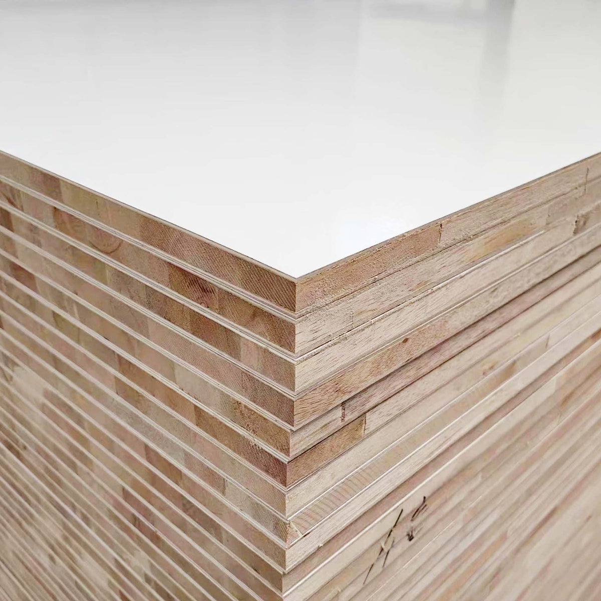 Blockboard White Gloss Both Side 18mm — GoldenGate-Maldives